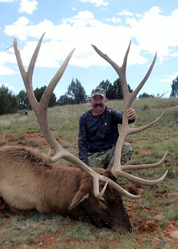 A Boomer Bull From Arizona - Trophy Elk Hunting
